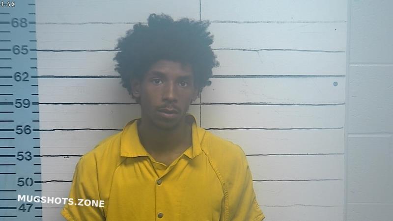 SHERRILL ERNEST D 10/08/2025 - Desoto County Mugshots Zone
