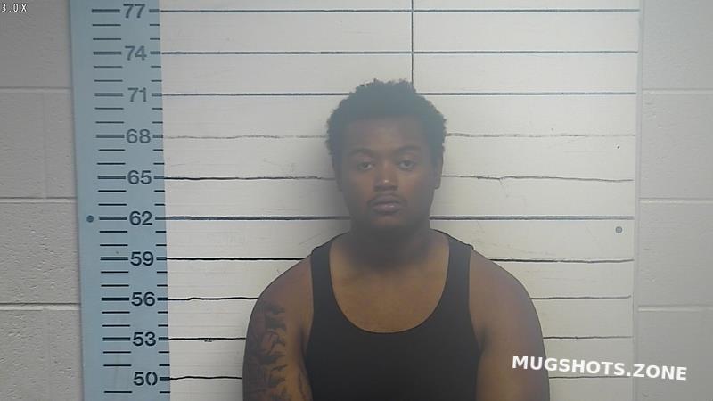 SPRINGFIELD MIKEL LYNN 11/04/2025 - Desoto County Mugshots Zone