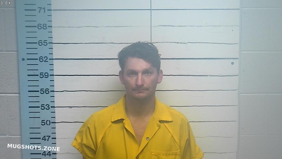 LAMB STEVEN TYLER 11/05/2025 - Desoto County Mugshots Zone