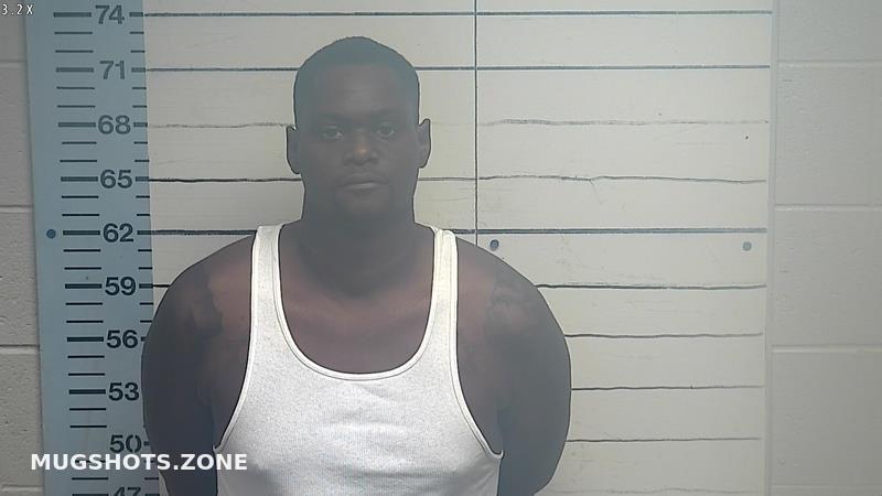JAMISON DAVID RAY JR 12/03/2025 - Desoto County Mugshots Zone