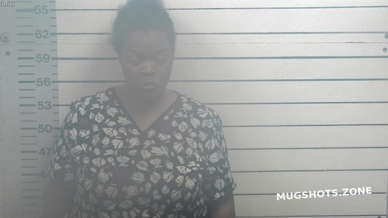 WHITE BRUMFIELD DESTINY ROSE 01/02/2026 - Desoto County Mugshots Zone