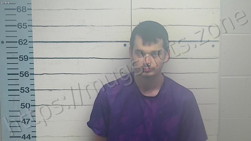 ISHAM AUSTIN LEE 03/22/2026 - Desoto County Mugshots Zone
