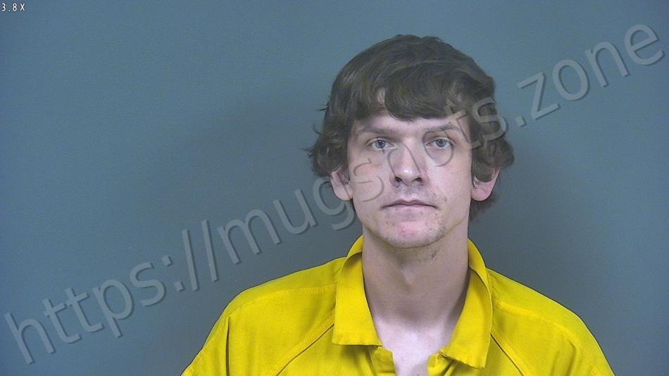 ASHBURN AUSTIN RILEY 03/22/2026 - Desoto County Mugshots Zone