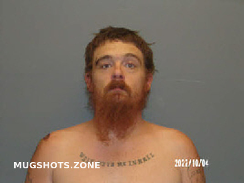 BLUE AARON PAUL 10/04/2022 - Dewitt County Mugshots Zone