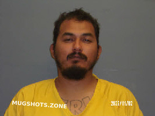 RIZO JESUS HOMERO 11/02/2022 - Dewitt County Mugshots Zone
