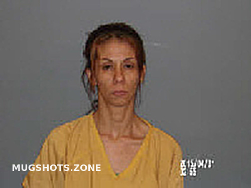 LEESA RENE POTTER 05/15/2025 - Dewitt County Mugshots Zone