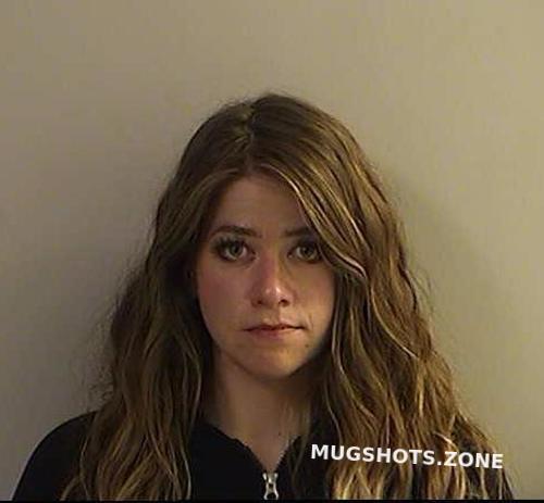 BAKER CHELSI RENAE 03/09/2021 - Dickinson County Mugshots Zone