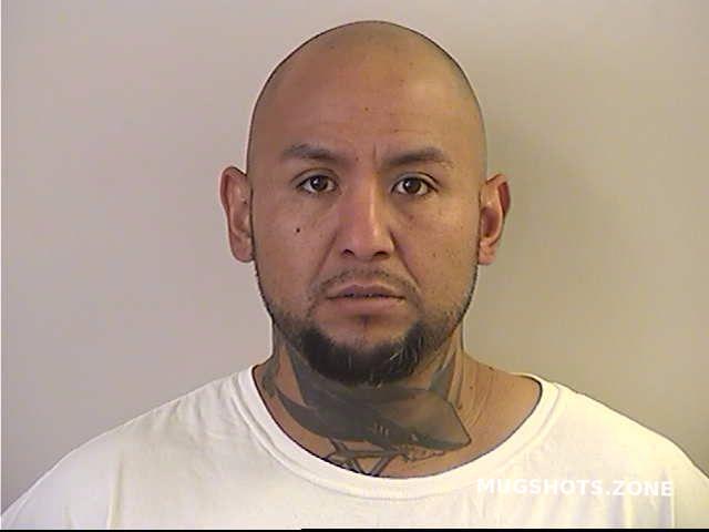 REGALADO STEVEN MICHAEL JUNIOR 03/19/2021 - Dickinson County Mugshots Zone