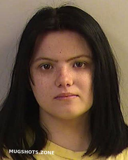 SPROUSE DESTINY RENEE 04/16/2021 - Dickinson County Mugshots Zone