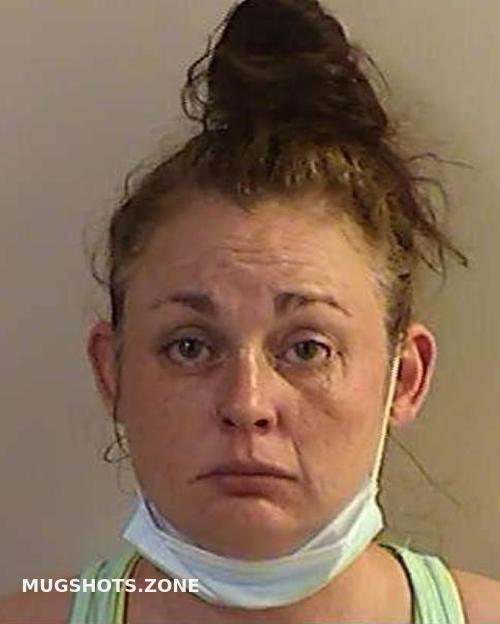 SIMS CHELSEY NICOLE 06/25/2021 - Dickinson County Mugshots Zone