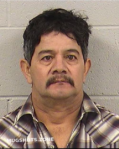 DE LA ROSA JOSE RAMIRO 11/13/2021 - Dickinson County Mugshots Zone