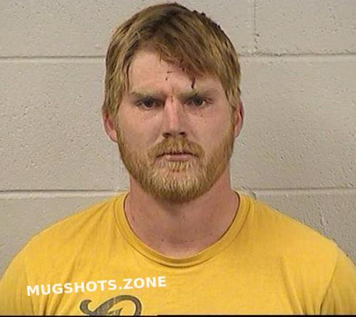HILDEBRAND ADAM NATHANIEL 01/16/2022 - Dickinson County Mugshots Zone