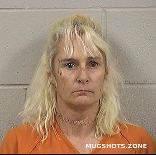 TREMBLEY RONIKA DAWN 04/14/2022 - Dickinson County Mugshots Zone