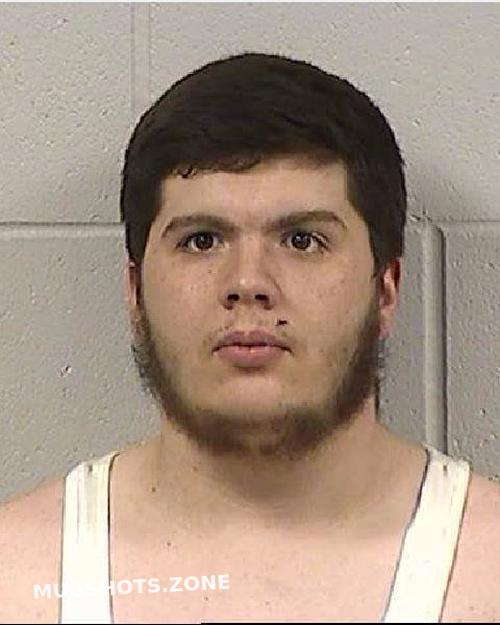 JOHNSON JUSTICE LEON RAY 06/07/2022 - Dickinson County Mugshots Zone