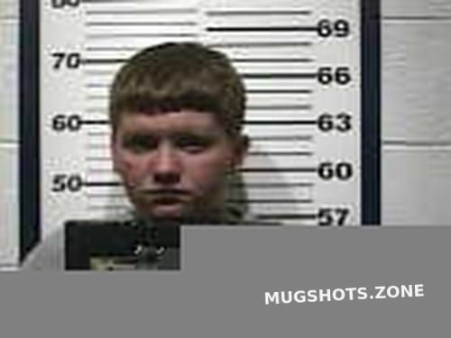 EMIG CODY ALAN 07/14/2022 - Dickinson County Mugshots Zone