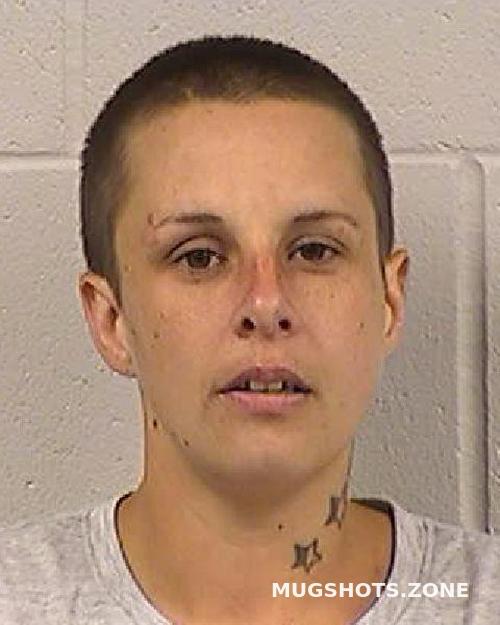 NELSON CHELSEA ROSE 10/05/2022 - Dickinson County Mugshots Zone