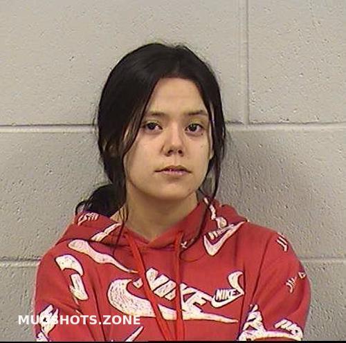 DIMAPLAS EMILEE DAWN 01/29/2023 - Dickinson County Mugshots Zone