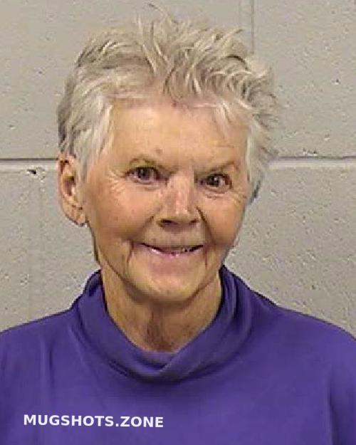 COOK EDITH SCHLEICHER 02/27/2023 - Dickinson County Mugshots Zone