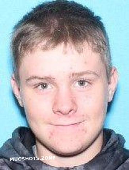 WEEKS COLTON WILLARD 05/22/2023 - Dickinson County Mugshots Zone