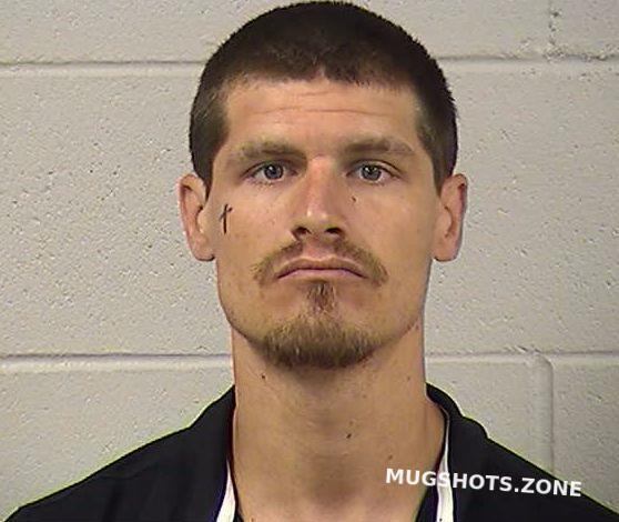 VANBRUGGEN SETH PATRICK 06/08/2023 - Dickinson County Mugshots Zone