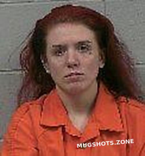 TANNER KAYTLAN ANN 04/05/2024 - Dickinson County Mugshots Zone