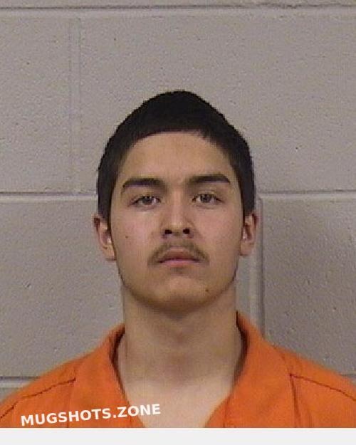 ALANIZ ALMAGUER MARCOS ALEJANDRO 04/26/2024 - Dickinson County Mugshots ...