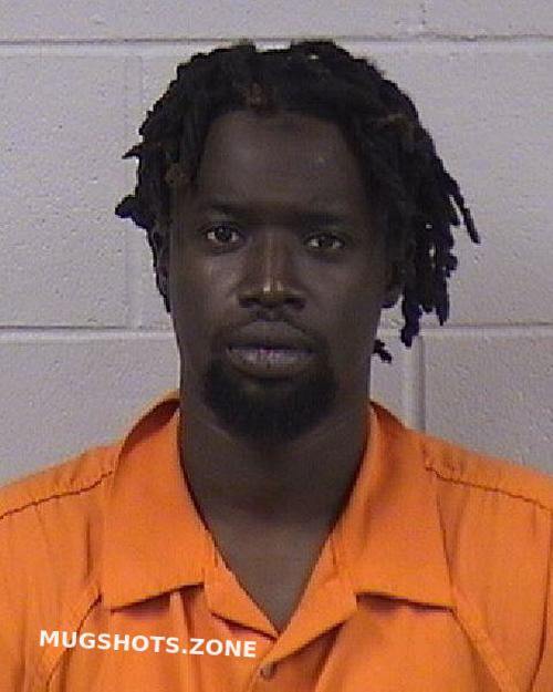 CEESAY IBRAHIM NMN 08/13/2024 - Dickinson County Mugshots Zone