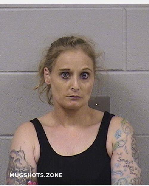 HEWITT TAMI JEAN 08/30/2024 - Dickinson County Mugshots Zone