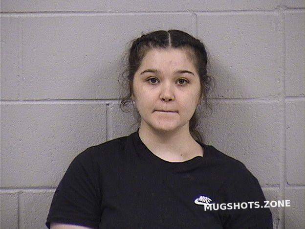 MEEKS HALEY ROCHELLE 09/23/2024 - Dickinson County Mugshots Zone