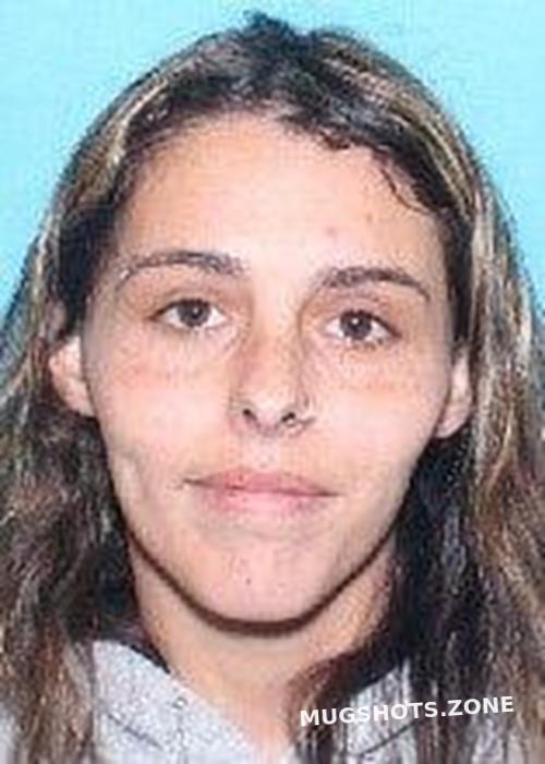 WEBER BREANNA MARIE 09/27/2024 - Dickinson County Mugshots Zone