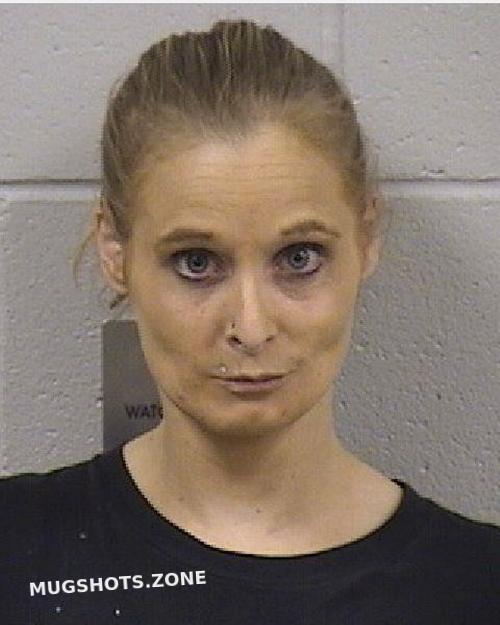 HEWITT TAMI JEAN 11/13/2024 - Dickinson County Mugshots Zone