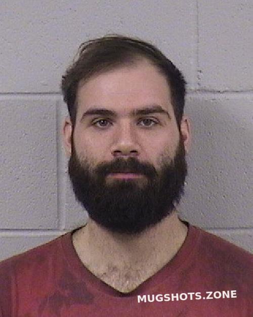 DELIMONT-MILLER BLAKE ALEXANDER 11/16/2024 - Dickinson County Mugshots Zone