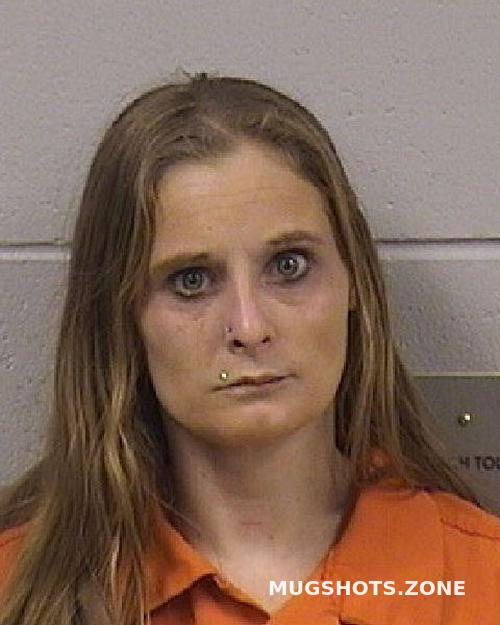 HEWITT TAMI JEAN 12/11/2024 - Dickinson County Mugshots Zone