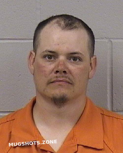 RICE CODY ALLEN 03/08/2025 - Dickinson County Mugshots Zone