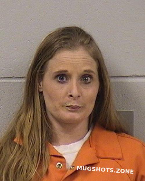 HEWITT TAMI JEAN 03/21/2025 - Dickinson County Mugshots Zone