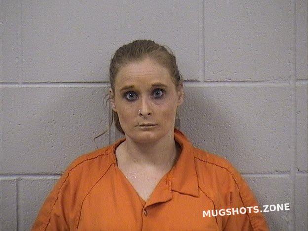 HEWITT TAMI JEAN 03/28/2025 - Dickinson County Mugshots Zone