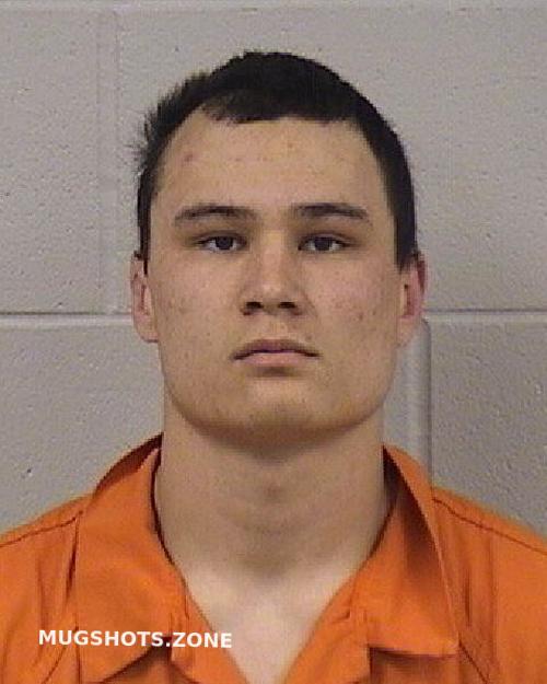 WIDLER JUSTIN LEE 04/12/2025 - Dickinson County Mugshots Zone