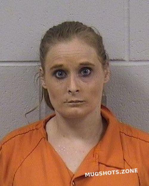 HEWITT TAMI JEAN 04/16/2025 - Dickinson County Mugshots Zone