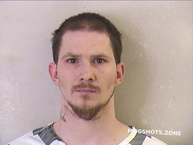 SALADA MICHAEL DEAN 04/26/2025 - Dickinson County Mugshots Zone