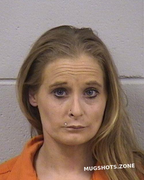 HEWITT TAMI JEAN 05/02/2025 - Dickinson County Mugshots Zone