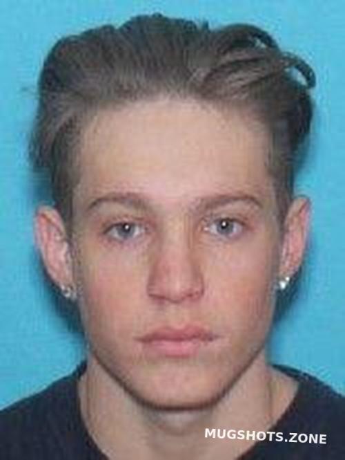 STEWART DALLAS ALEXANDER 05/17/2025 - Dickinson County Mugshots Zone