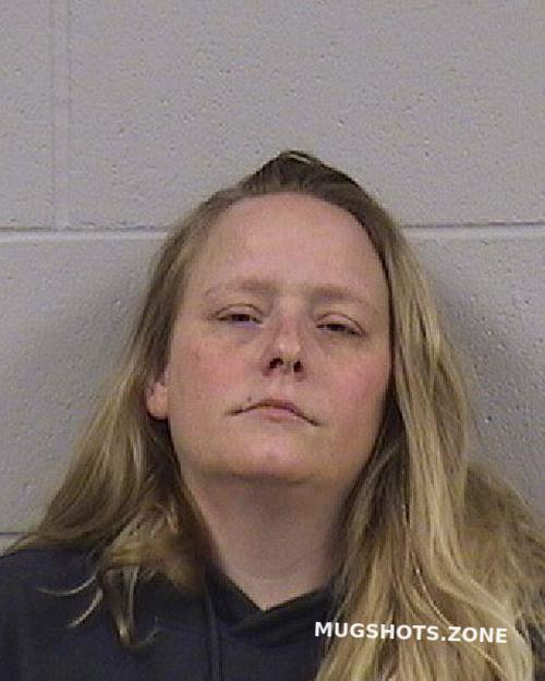 ROBERTSON TONYA ANN 06/09/2025 - Dickinson County Mugshots Zone