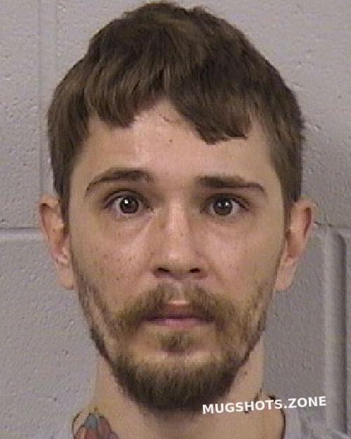 PHELPS ALEXANDER DAVID 09/30/2025 - Dickinson County Mugshots Zone
