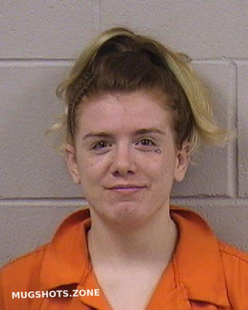 TANNER KAYTLAN ANN 10/13/2025 - Dickinson County Mugshots Zone