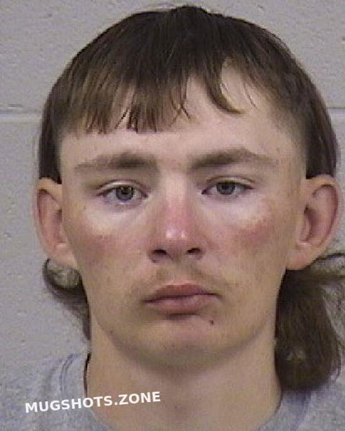 SOSEBEE KYLER THOMAS 01/16/2026 - Dickinson County Mugshots Zone