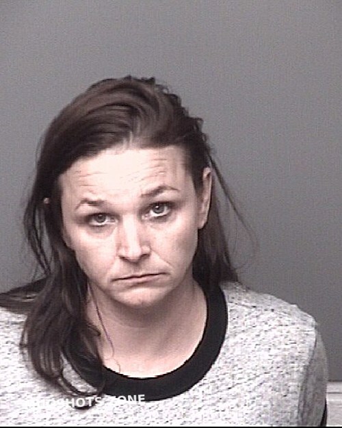 WILLIS SONDRA LEE 05/20/2023 - Dubuque County Mugshots Zone