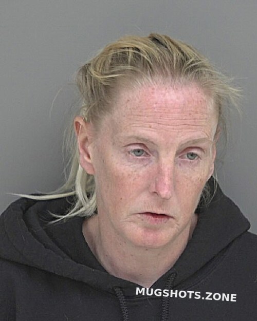 MATTISON AMY LYNN 06/14/2023 - Dubuque County Mugshots Zone