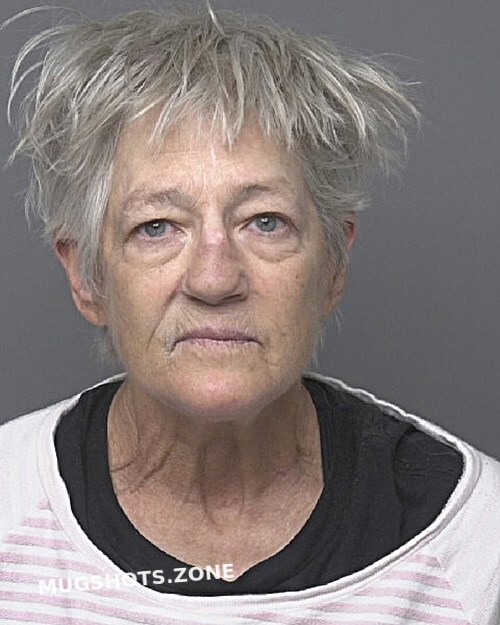 CLEWELL SARA ANN 06/27/2023 - Dubuque County Mugshots Zone