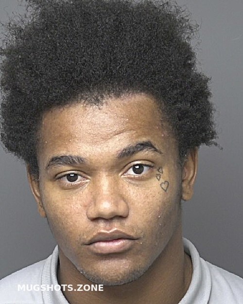 STEWART ZANZIBAH TWYEA 07/14/2023 - Dubuque County Mugshots Zone