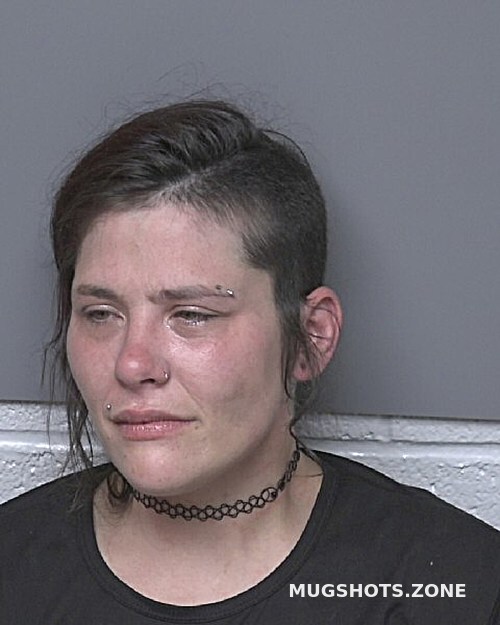 HAASE AMANDA RAE 08/17/2023 - Dubuque County Mugshots Zone